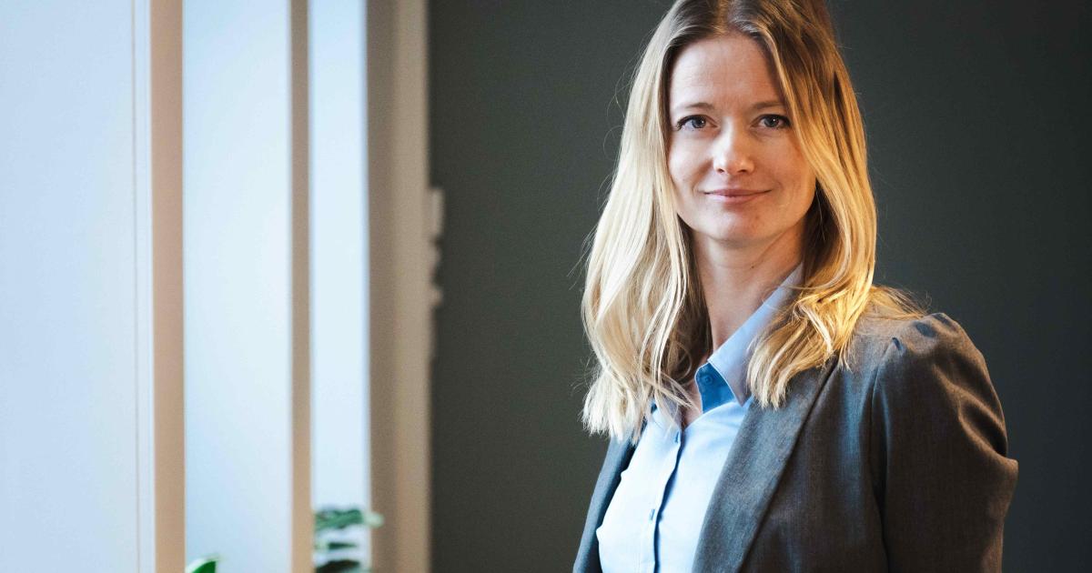 Svindel må bekjempes på systemnivå